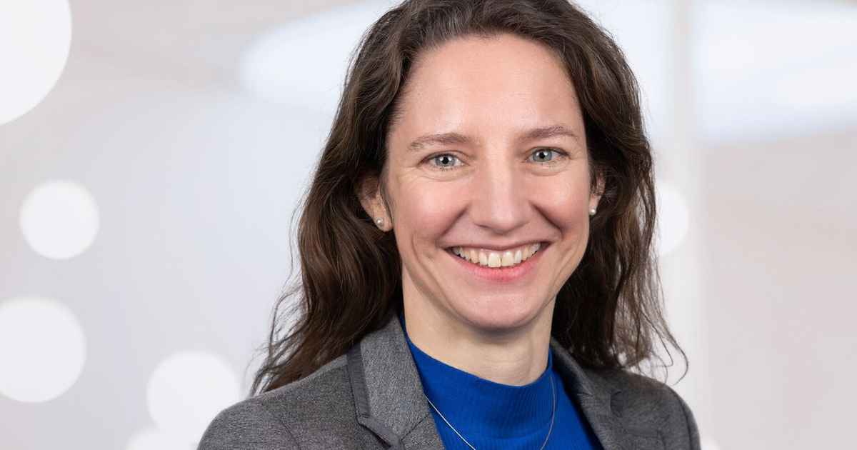 Strategic Climate Litigation’s Direct and Indirect Consequences for ...